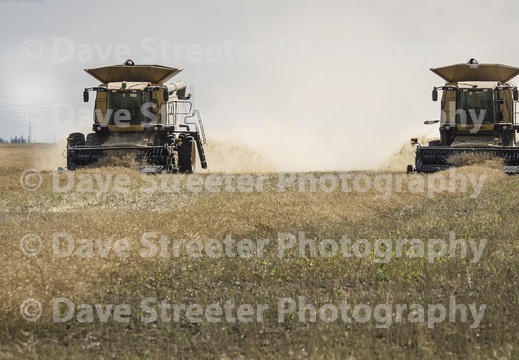 Dave Streeter Photography